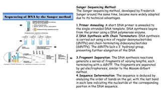 MSC IV SEMESTER_DNA Profiling - DNA Sequencing.pdf