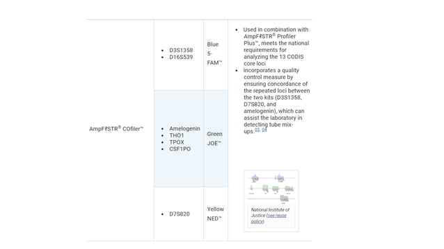 MSC IV SEMESTER_DNA Profiling - STR biology and artifacts.pdf