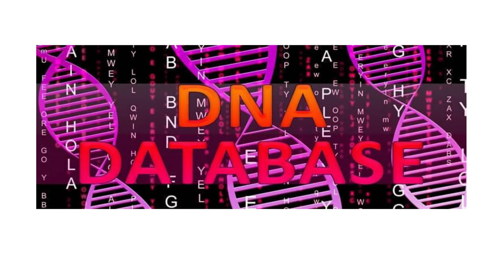MSC IV SEMESTER_DNA Profiling DNA national institute and DNA database.pdf