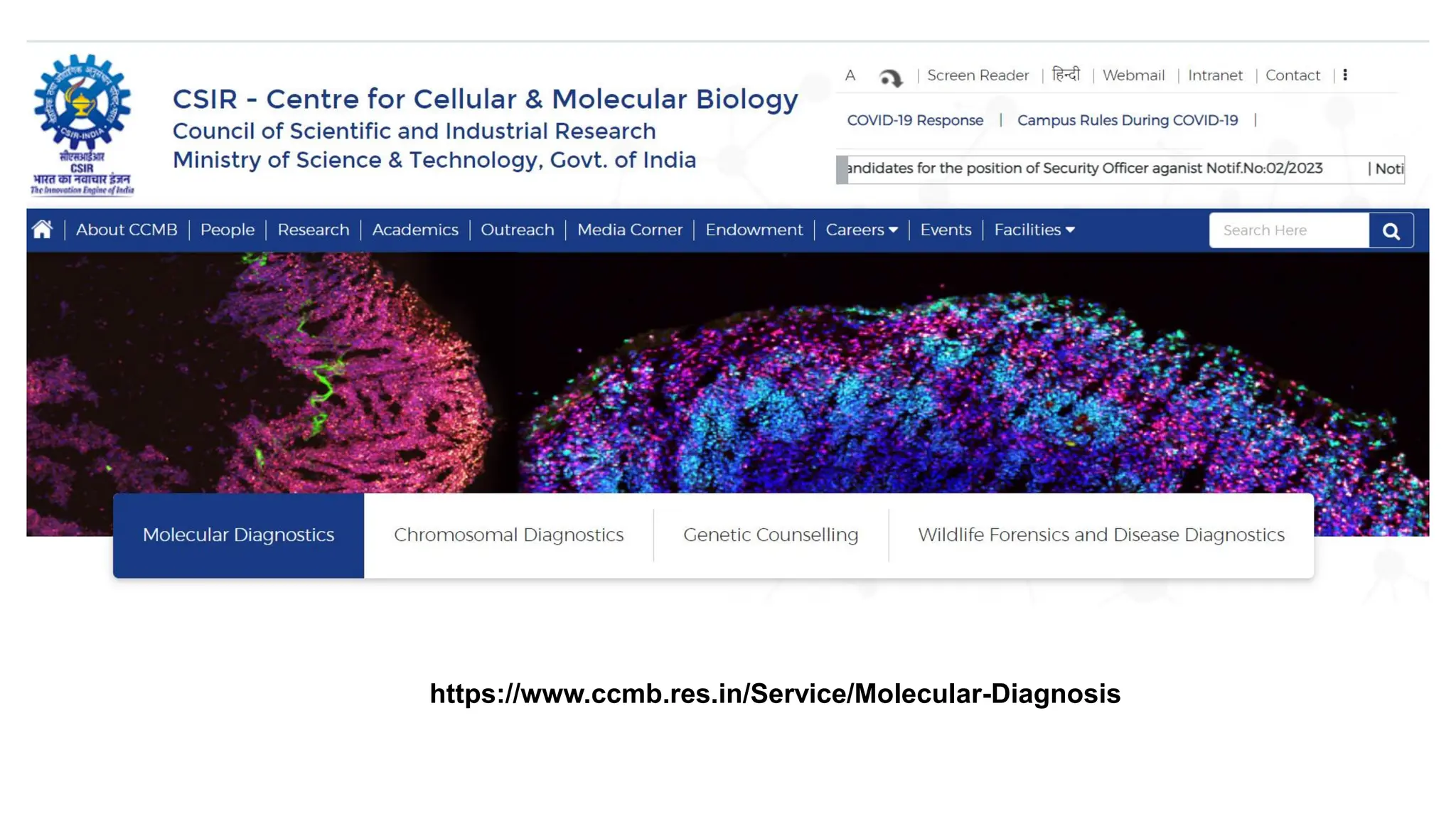 MSC IV SEMESTER_DNA Profiling DNA national institute and DNA database.pdf