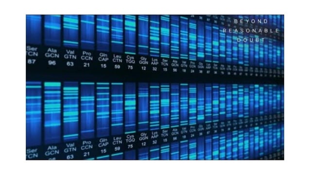 MSC IV SEMESTER_DNA Profiling DNA national institute and DNA database.pdf