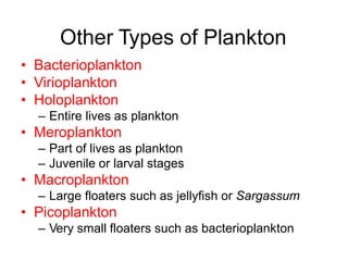 Msc_Marine_Environment_2022.pptx