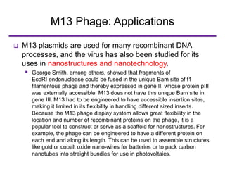 MSc mic gen plasmids bacteriophages | PPT