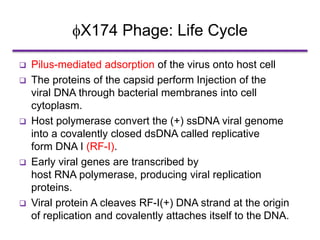 MSc mic gen plasmids bacteriophages | PPT