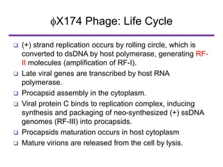 MSc mic gen plasmids bacteriophages | PPTX