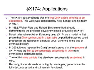 MSc mic gen plasmids bacteriophages | PPT