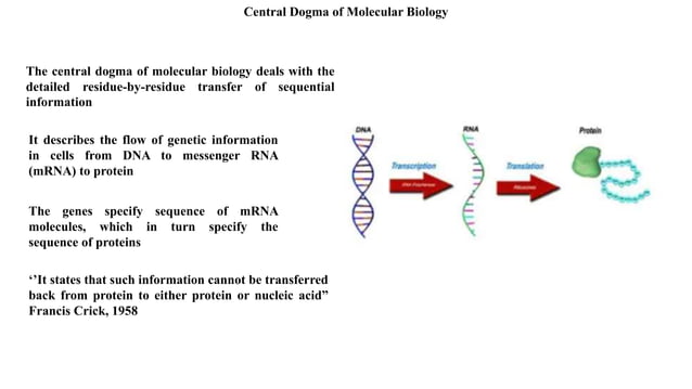 M Sc Molecular Biology Final- project SV.pptx