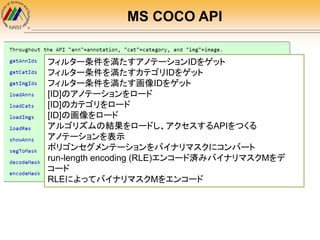 MS COCO Dataset Introduction | PPTX