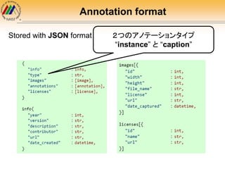 MS COCO Dataset Introduction | PPTX