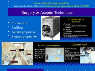MSc PHY Animal act, biomedical sciences.pptx