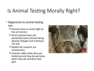 Msc PHY Animal ethics in biomedical laboratories.pptx