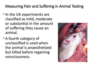 Msc PHY Animal ethics in biomedical laboratories.pptx