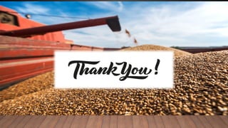 Traditional types of grain storage structures | PPTX