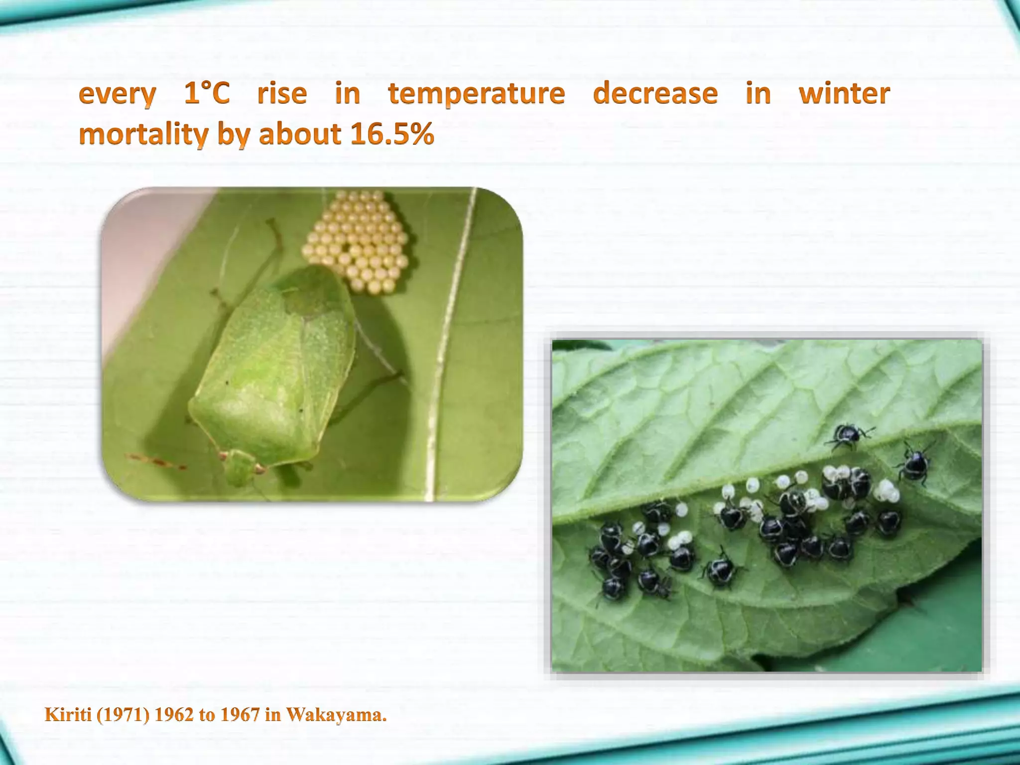 impact of climate change on insect community | PPTX