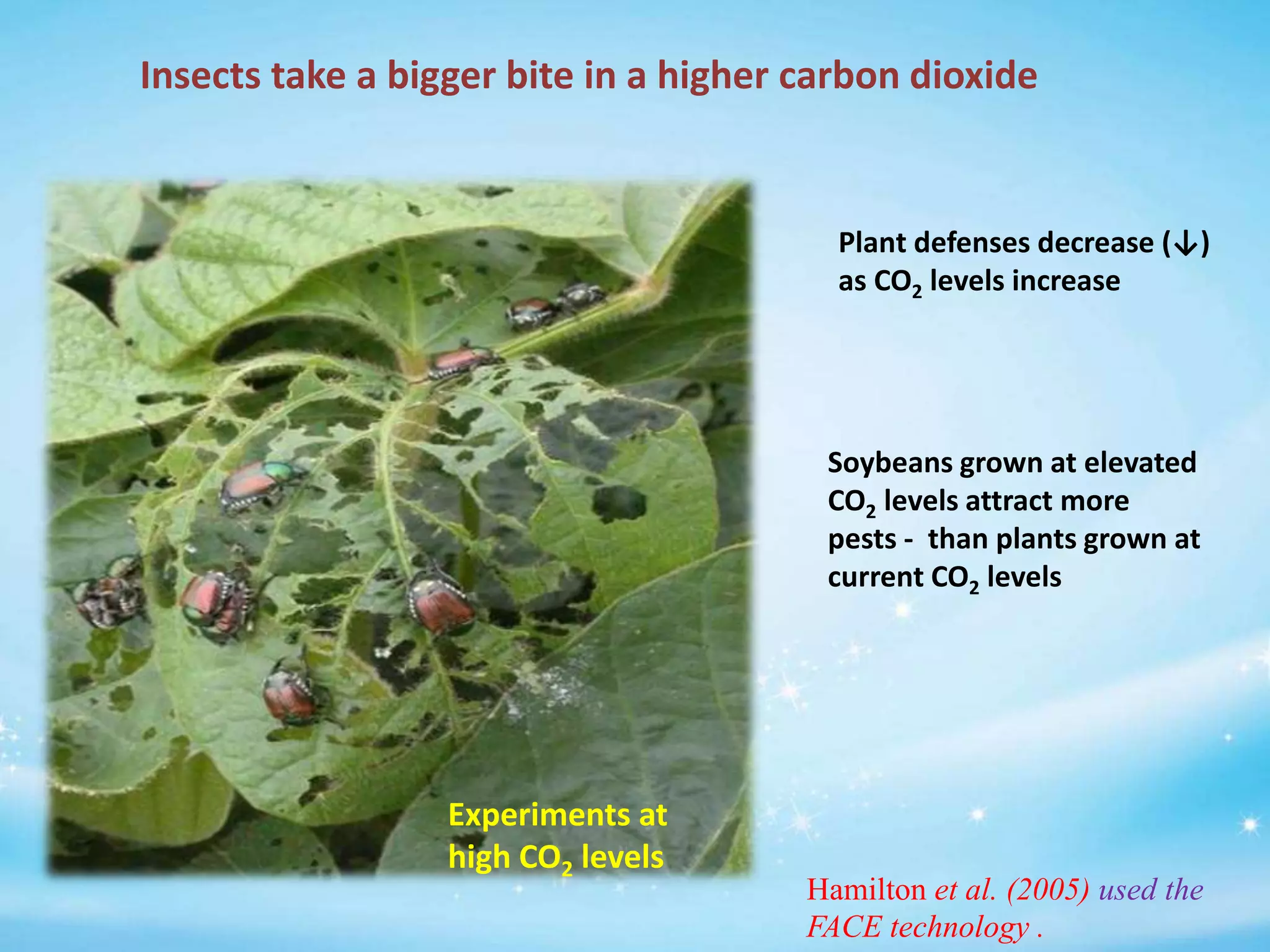 impact of climate change on insect community | PPTX
