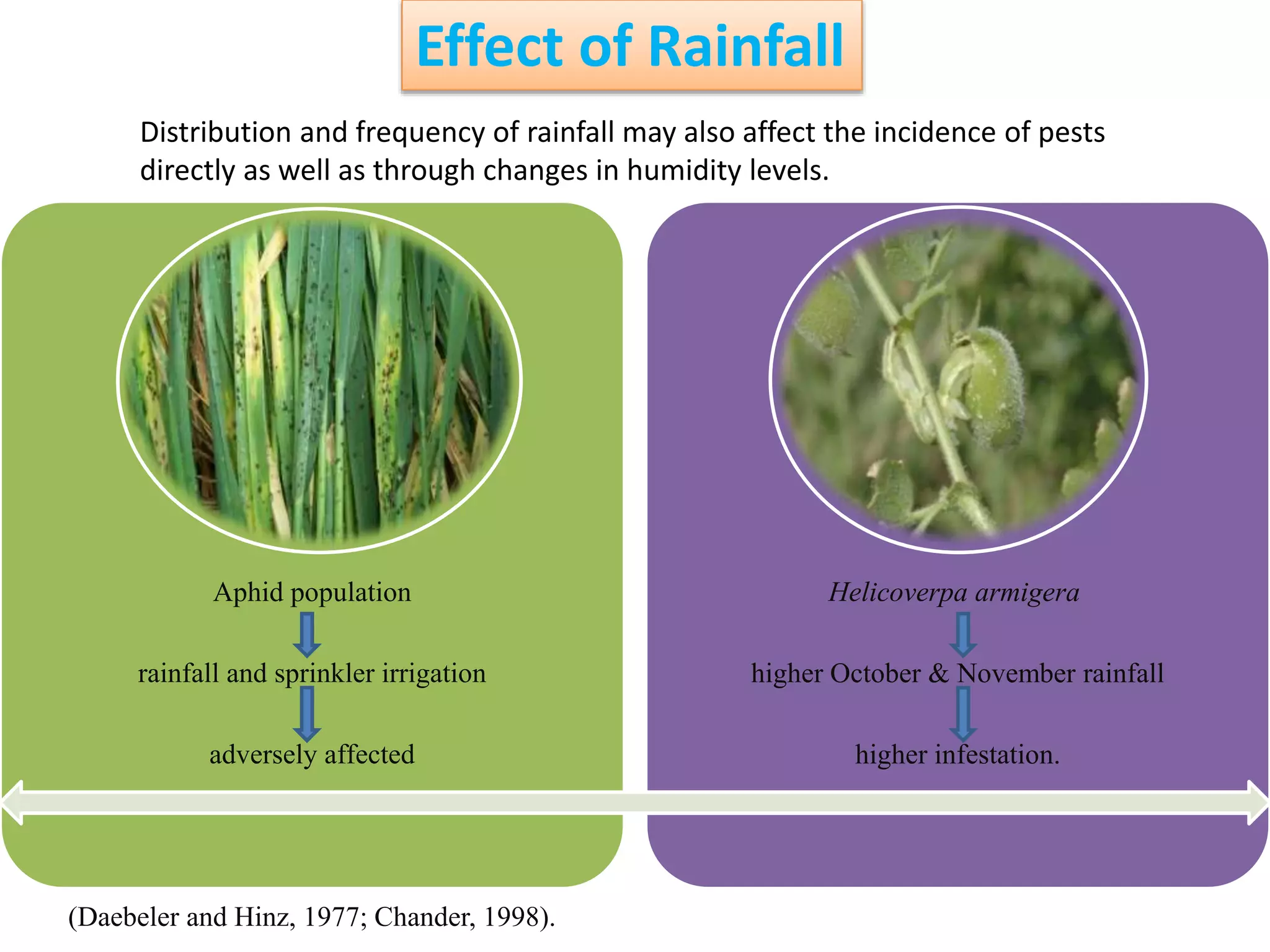 impact of climate change on insect community | PPTX