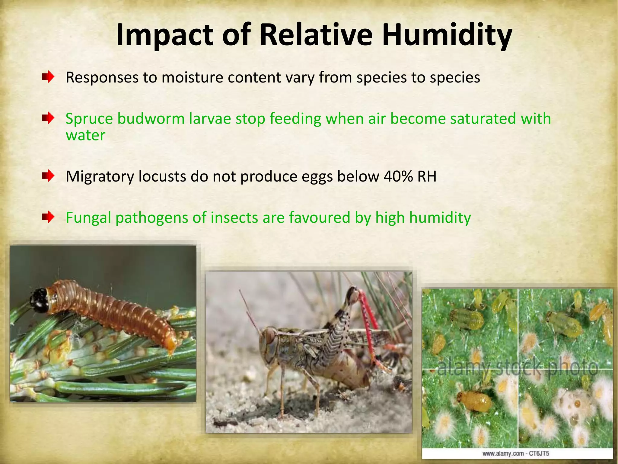 impact of climate change on insect community | PPTX