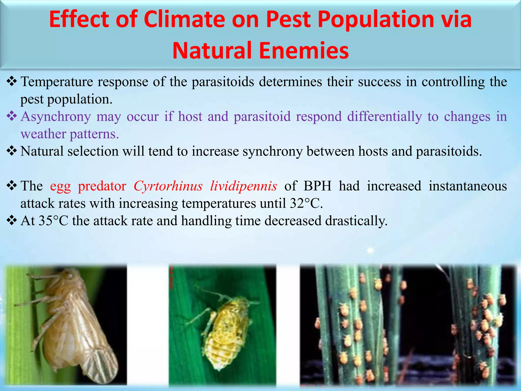 impact of climate change on insect community | PPTX