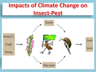 impact of climate change on insect community | PPTX