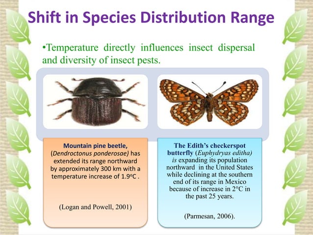 impact of climate change on insect community | PPTX