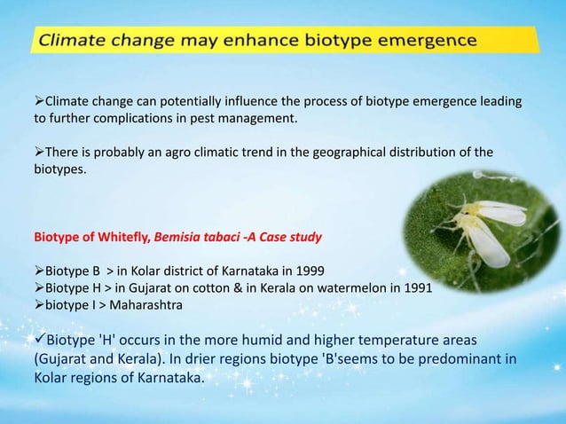 impact of climate change on insect community | PPTX