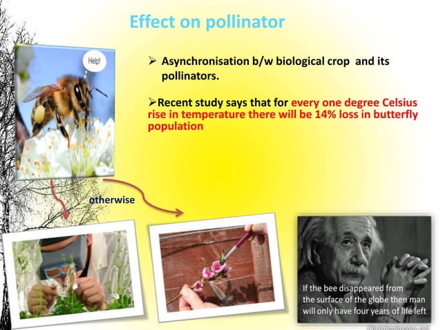 impact of climate change on insect community | PPTX