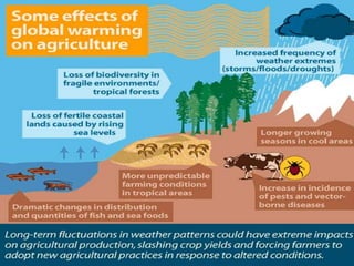 Global Warming Insects