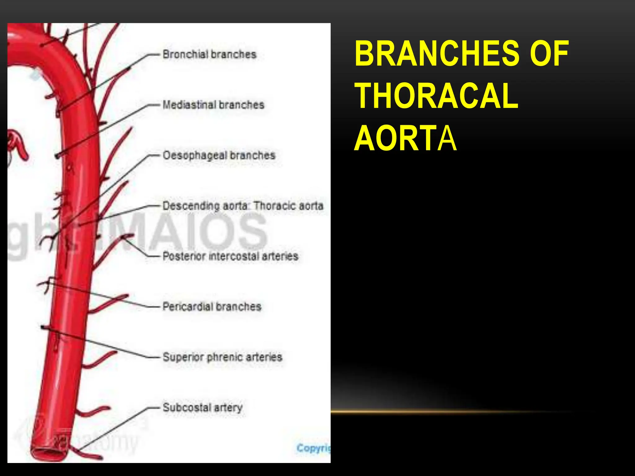 CT Imaging examination about aorta and it's disease | PPT | Death ...