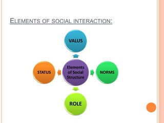 understanding of Socialization | PPTX
