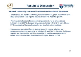 Community structures of microbial mats | PPT