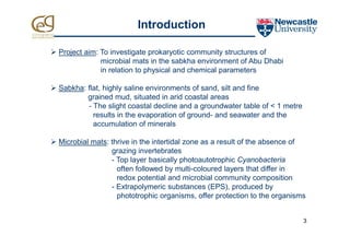 Community structures of microbial mats | PPT