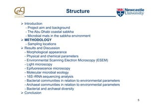Community structures of microbial mats | PDF