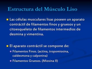 Músculo liso | PPTX