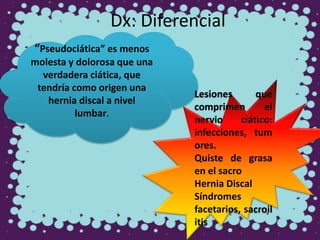 Músculo piramidal | PPTX