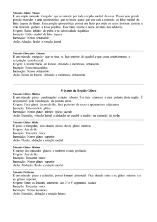 Músculos origem-e-inserção-membro-inferior | DOCX