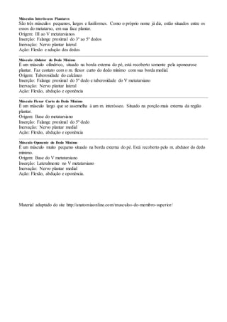 Músculos origem-e-inserção-membro-inferior | DOCX