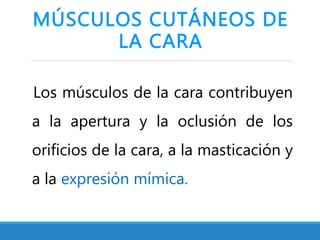 Músulos Cutaneos de la Cara. | PPTX