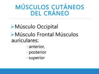 Músulos Cutaneos de la Cara. | PPTX