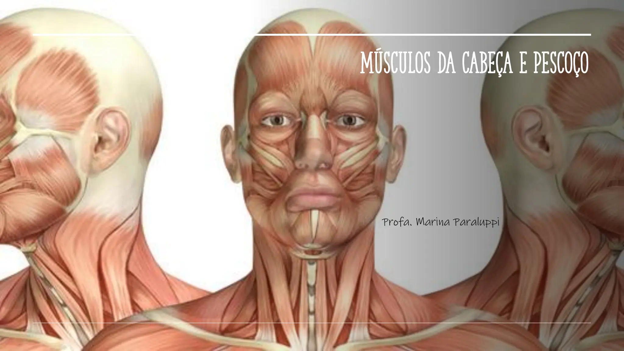 Músculos Cabeça e Pescoço, anatômia para odontologia | PDF