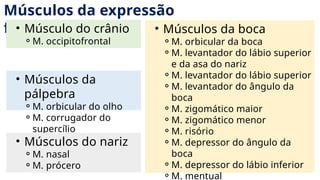 Músculos da expressão facial para odontologia | PPTX