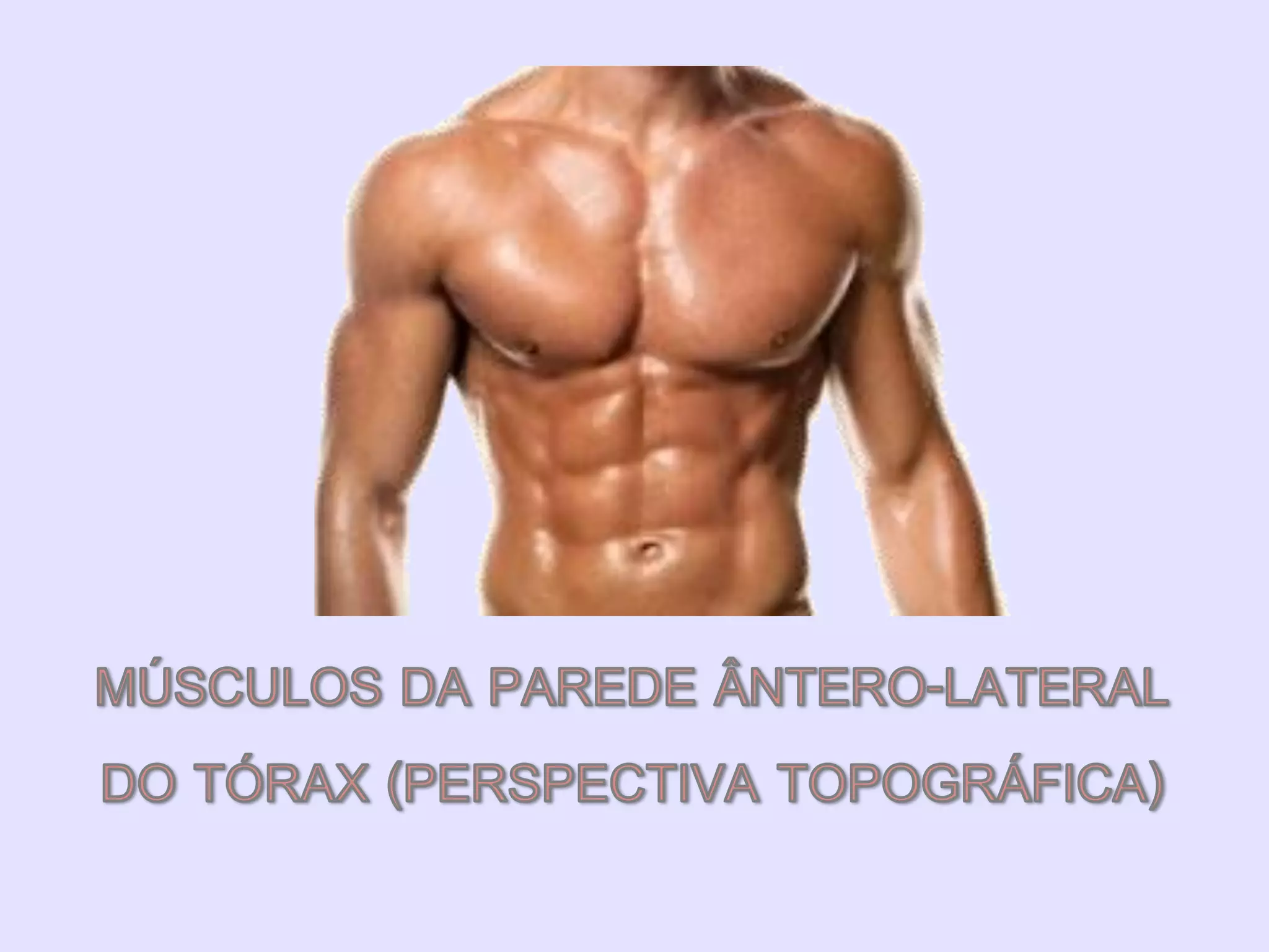 Músculos da parede antero lateral do tórax | PDF