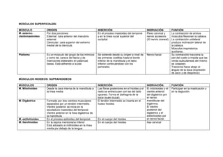 MÚSCULOS DE CABEZA Y CUELLO y otross.pdf