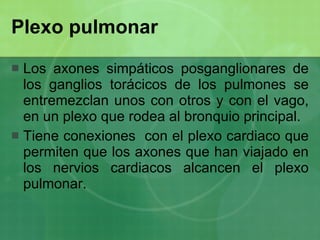 MúSculos De La Caja ToráCica Completo | PPT