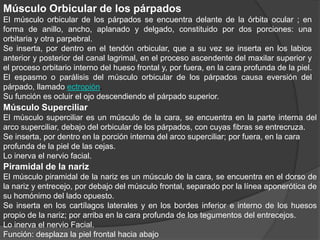 Músculos de la cara | PPTX