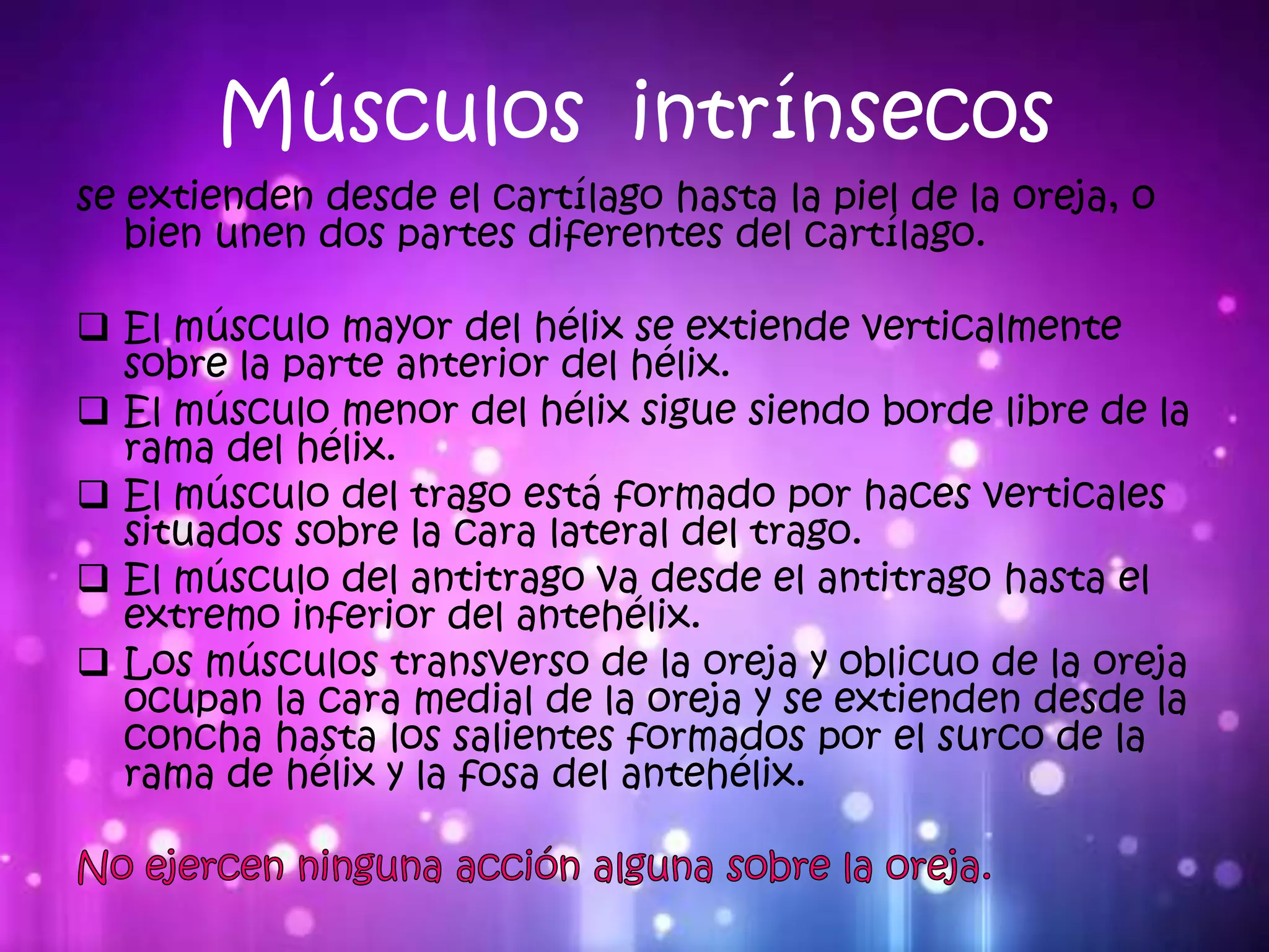 MUSCULOS DE LA CARA | PPT