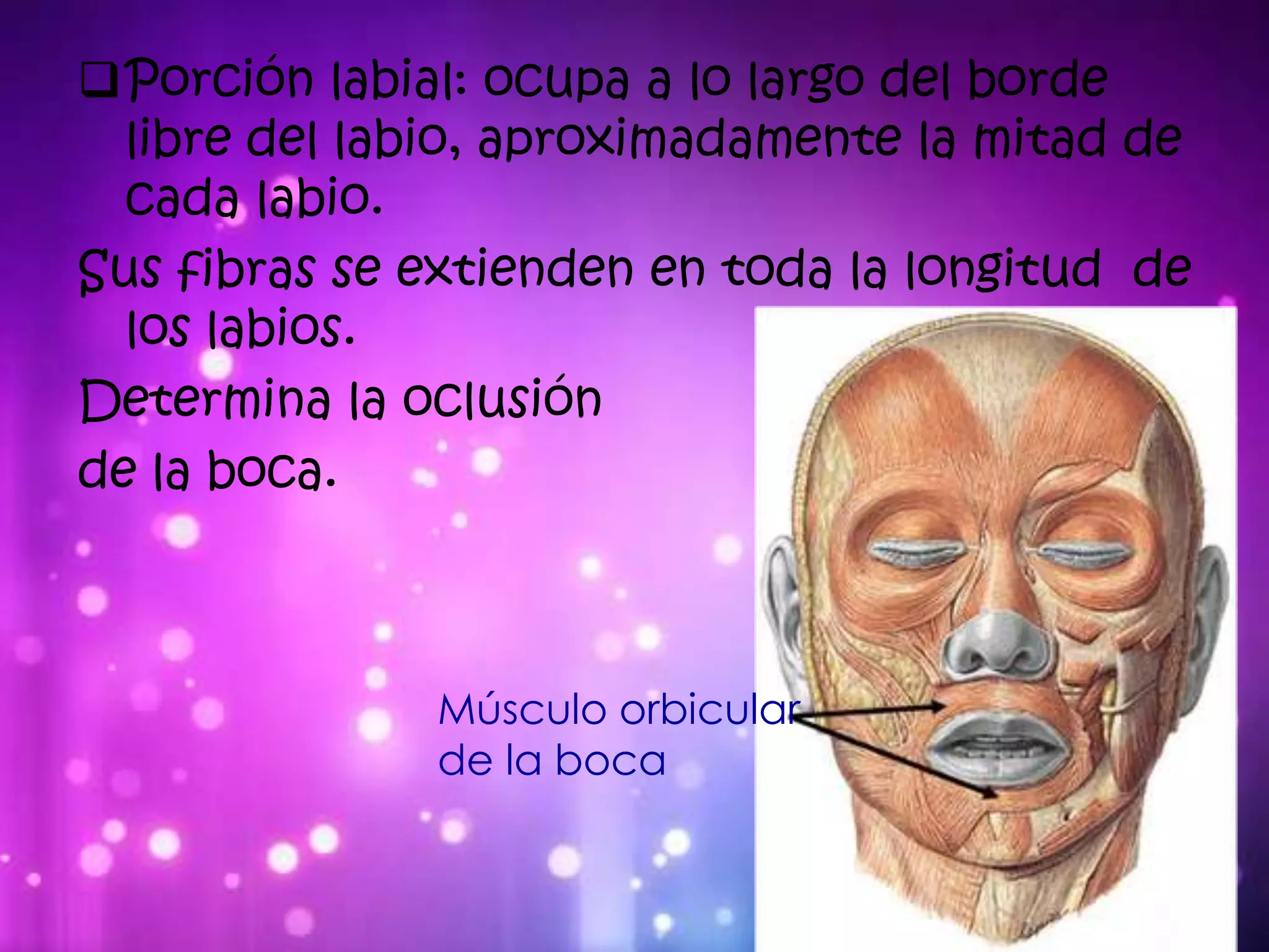 Músculos de la cara | PPTX
