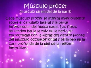 Músculos de la cara | PPTX