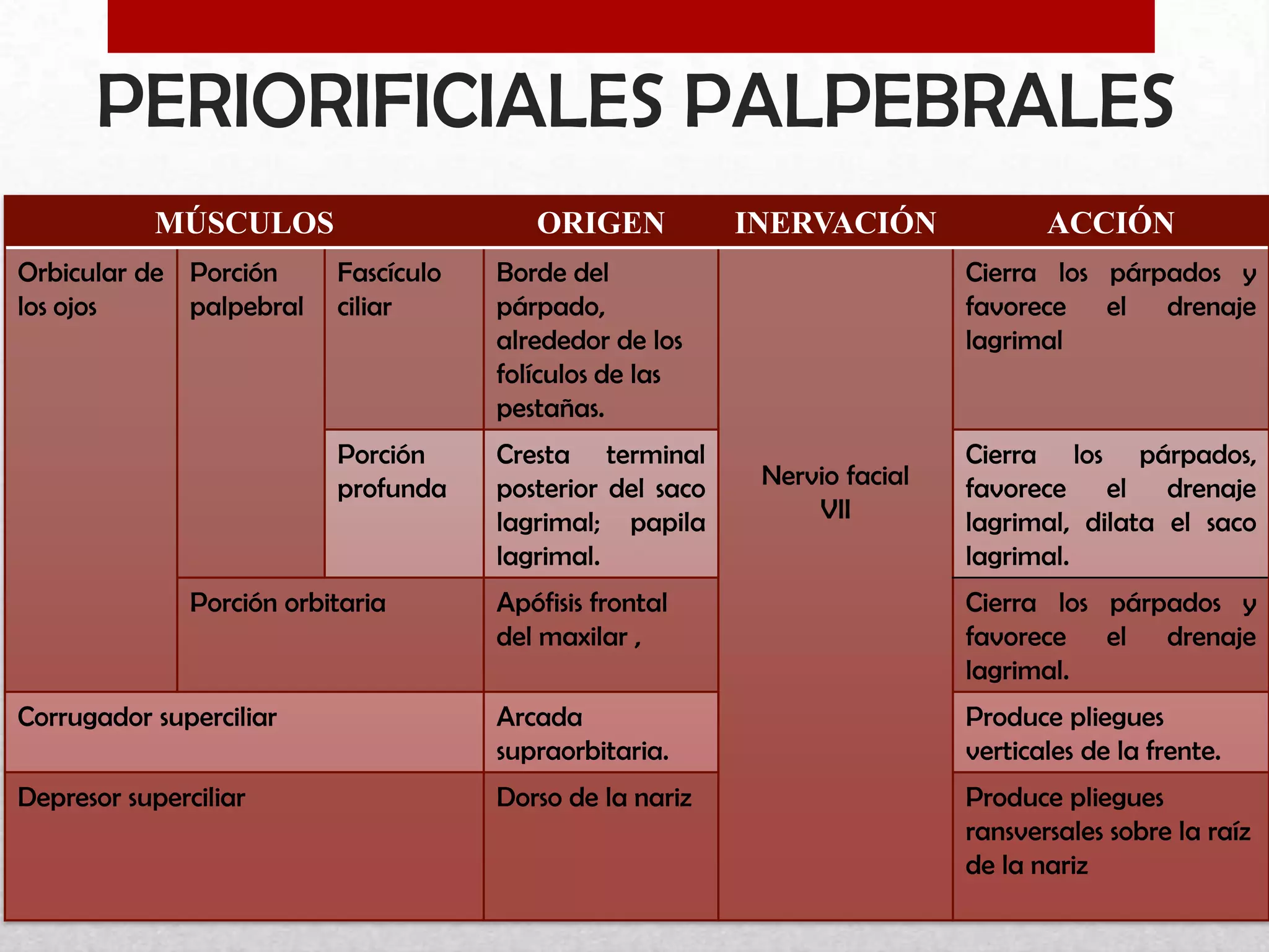 Músculos de la expresión facial | PPTX