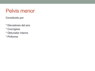 músculos de la pelvis .pptx