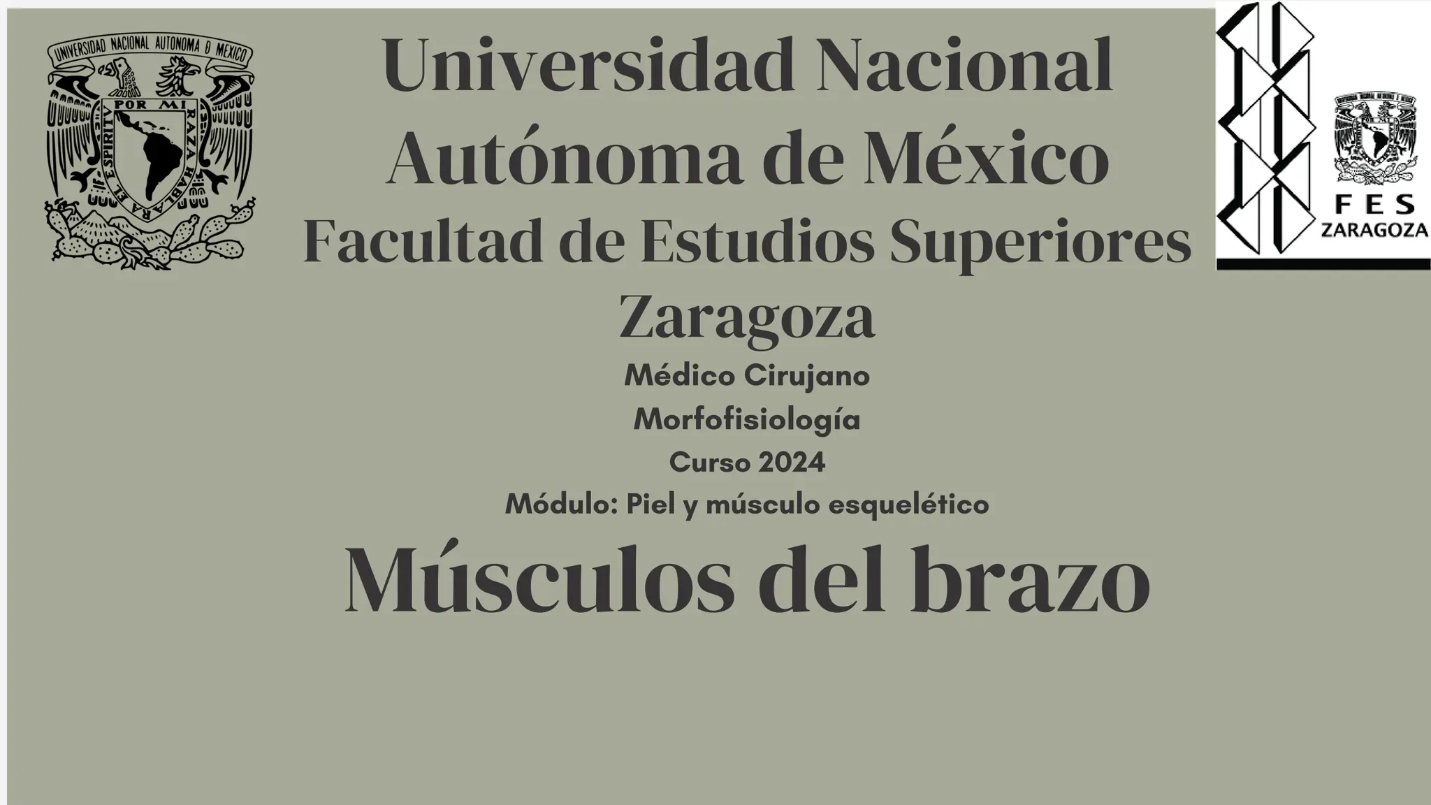Músculos del brazo con su inervación, origen, inserción y función | PDF